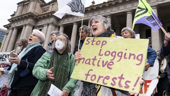 Labor criminalises forest protest despite union pushback – Solidarity ...